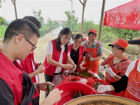 网络中国节端午凉泉乡浓浓端午情 悠悠艾草香 望江新闻网