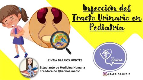 Infecci N Del Tracto Urinario En Pediatr A Barrios Medic Udocz