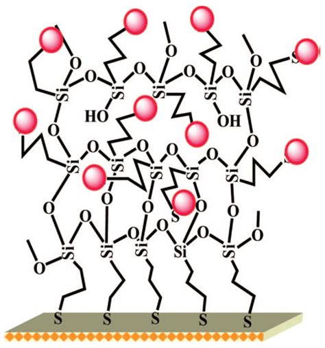 Biosensors Special Issue Label Free Biosensors Exploring The Field