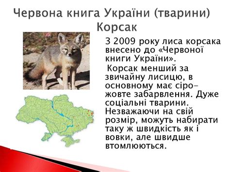 Червона книга України Тварини презентация онлайн