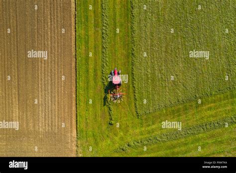 Red Tractor Windrowing Hay Top Down Aerial View Agriculture And