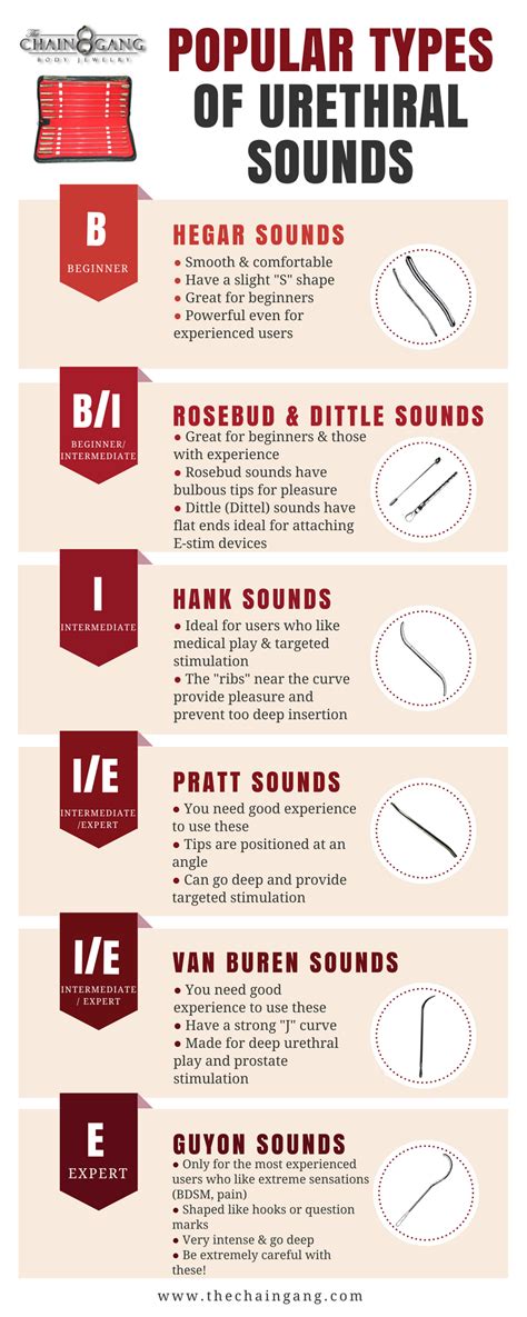 Popular Types Of Urethral Sounds Infographic