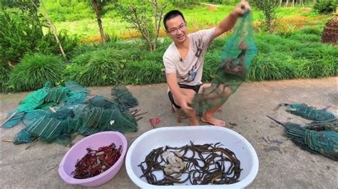 老公今天收获5斤3两鳝鱼，卖了200块，龙虾爆网了，一网2斤提不起vlog 农村生活 记录真实生活 日常 Youtube