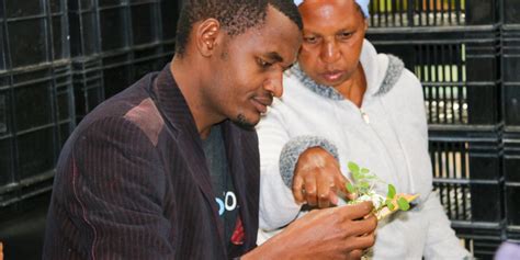 Gender Responsive Project Implementation Cgiar Gender Impact Platform