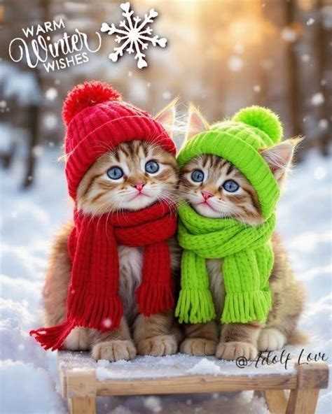 Meaww Johnson Condemned Kelly After She Made Facebook