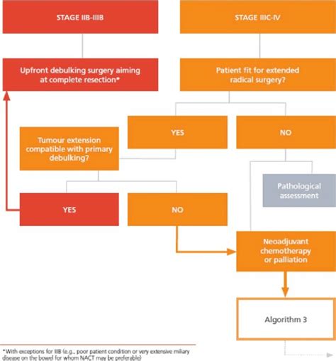 Algorithm 2 For Epithelial Ovarian Cancer Surgery Download Scientific Diagram
