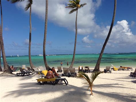 Smartcats Homepage On