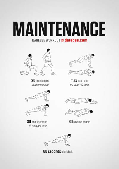 Total Gym Exercises Chart Pdf Infoupdate Org