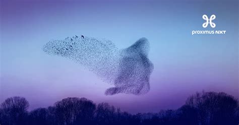 Proximus Nxt It Filiale Spécialisée En Services It Pour Répondre
