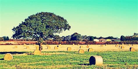 Pin By Chris On Random Scenery Scenery Outdoor Farmland
