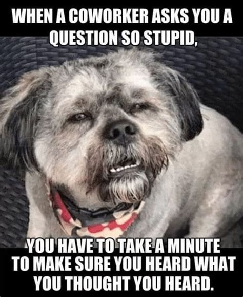 42 Snarky Memes Ideas Bones Funny Funny Quotes Hilarious