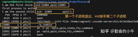 彻底搞懂孤儿 僵尸 守护进程 知乎
