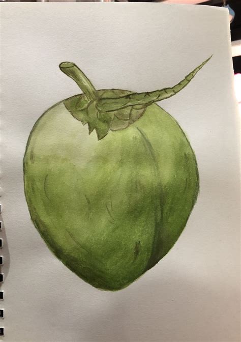 First Coconut Painting Watercolor