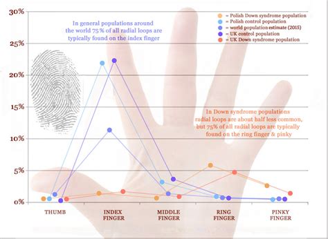 10 Facts About Radial Loop Fingerprints