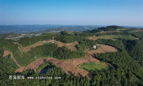 20220706苍溪云峰镇紫阳村紫阳山05 苍溪最大的纪实图片网站 苍溪百科图库