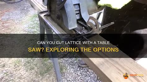 Can You Cut Lattice With A Table Saw Exploring The Options Shuntool