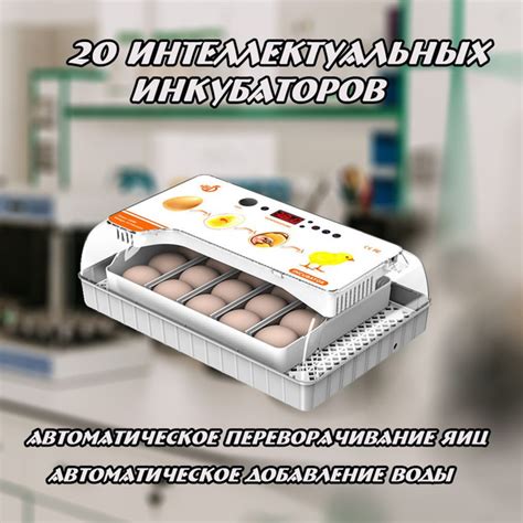 Домашний умный инкубатор - купить с доставкой по выгодным ценам в ...