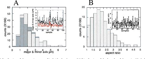 Figure 3 From Shape Anisotropy Of A Single Random Walk Polymer