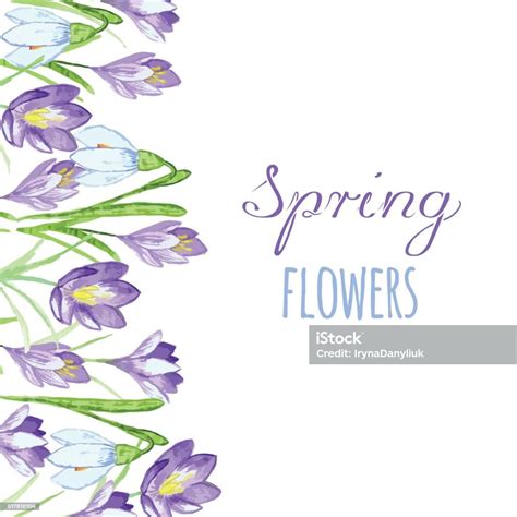 조기 스프링 그레디언트된 크로커스 및 Snowdrops 자연 경관을 꽃 벡터 1위에 대한 스톡 벡터 아트 및 기타 이미지 1