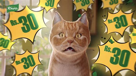 Farhan Aslam On Linkedin Sharpimage Knorr Recentwork Animation