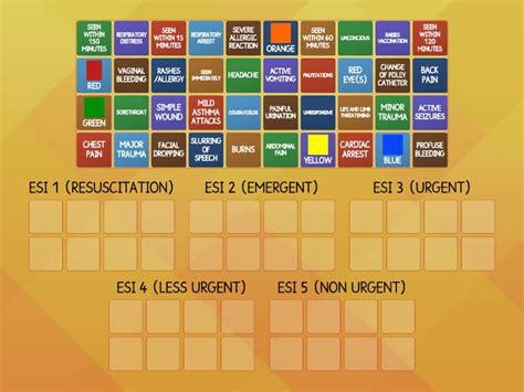 Emergency Room Triaging Understanding Injury Severity And Color Codes