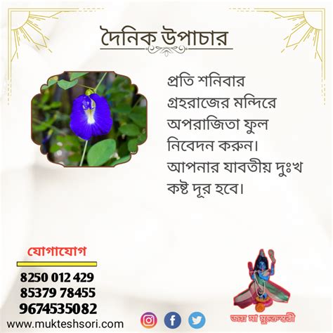 দৈনিক উপাচার ৩১ মে ২০২৩ জয় মা মুক্তেস্বরী মা মুক্তেশ্বরী