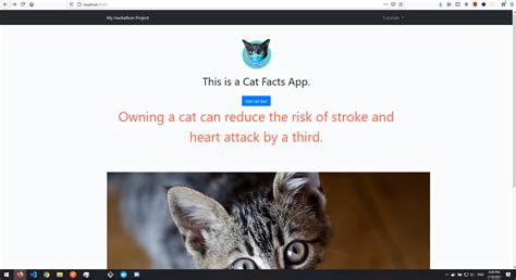 Node Js Cat Facts Devpost