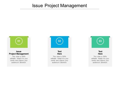 Issue Project Management Ppt Powerpoint Presentation Styles Examples Cpb Presentation Graphics