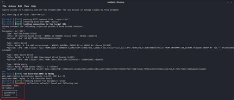 SQLMap The Best Tool For Automated SQL Injection Detection TechArry