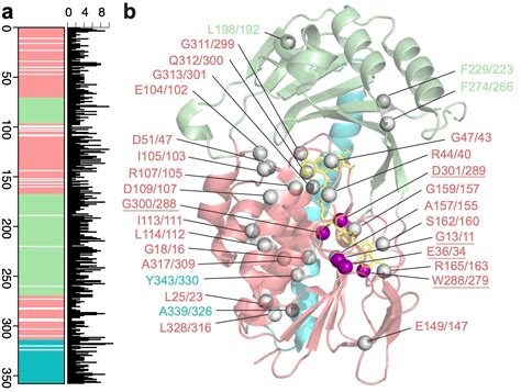 Sequence Structure Function Characterization Of The Emerging