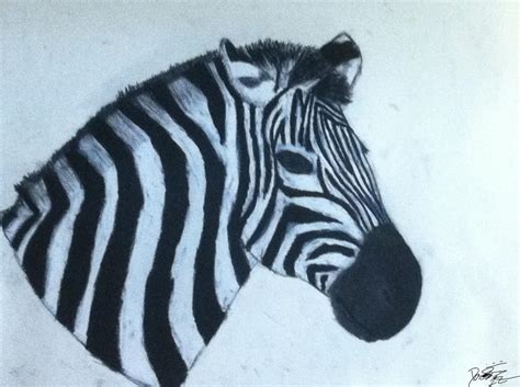 Zebra Head By Dsitt7 On Deviantart