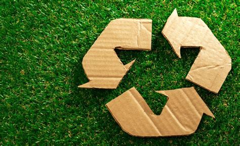 Guía Para Reducir Reutilizar Y Reciclar
