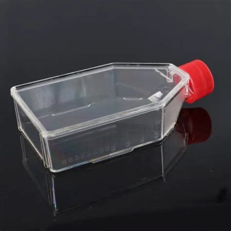 Cell Culture Flask T 25 Surface High Quality Cell Culture Flask T