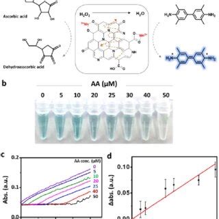 A Schematic Of The Peroxidase Mimetic Activity Of The N CD And