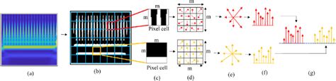 Process Of Hog Feature Extraction A Image Generation Bc Grey