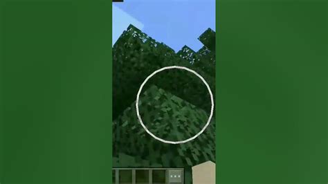 Kalau Ketemu Block Putih Cium Kucing Shortsminecraft Youtube