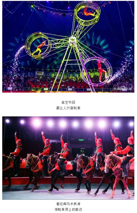 东湖海洋乐园丨国庆特别献礼提前剧透 园区动态 东湖海洋乐园