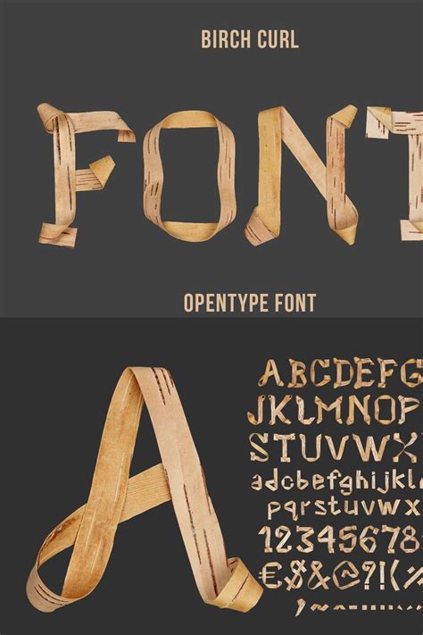 Birch Curl Font Masterbundles