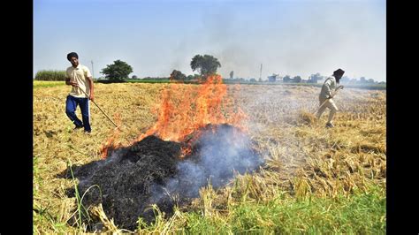 Stubble Burning Cases Punjab Starts Making Red Entries In Revenue