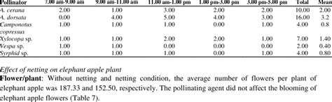 Foraging Rates Number Of Pollinator Visited Per Flower Per 5 Minutes