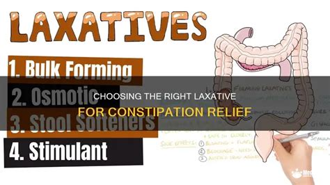 Choosing The Right Laxative For Constipation Relief Medshun