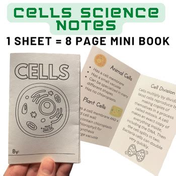 Cell Science Notes Sheet Foldable Page Mini Booklet Fill In Print And Go