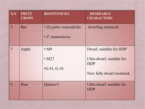 Canpoy Classification And Canopy Management Through Rootstock And Scion Pptx