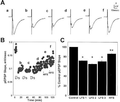 Figure 1 From Ifenprodil And Ethanol Enhance Nmda Receptor Dependent