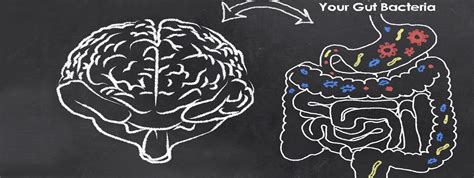 Another Link Found Between Gut Bacteria And Mental Health