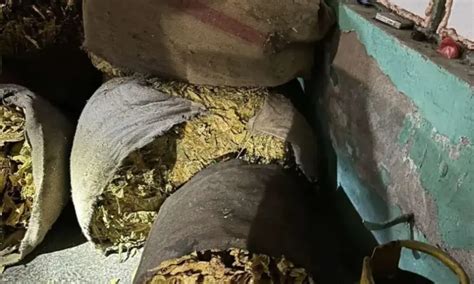 Арестуваха петима за производство на нелегален тютюн в Софийско