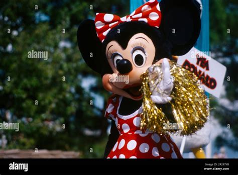 Minnie Mouse Cartoon Character