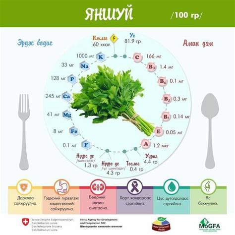 Ногоон өнгөтэй ногооны ач тус Mn