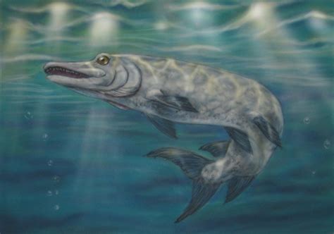 Pike Paradisean Wiki Fandom