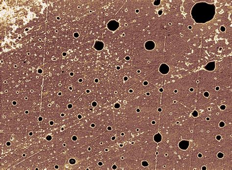 Macro Or Micro Test Your Sense Of Scale Science Smithsonian